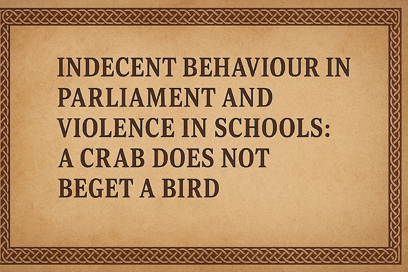 Indecent Behaviour in Parliament and Violence in Schools: A Crab Does ...