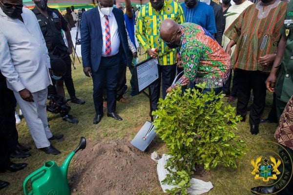 1.6 million trees to be planted in Central Region on Green Ghana Day ...