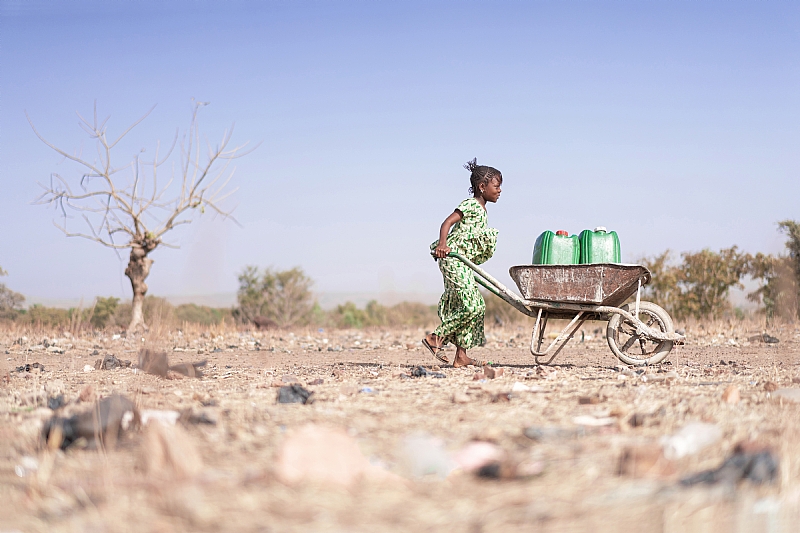 Droughts bring disease: here are 4 ways they do it