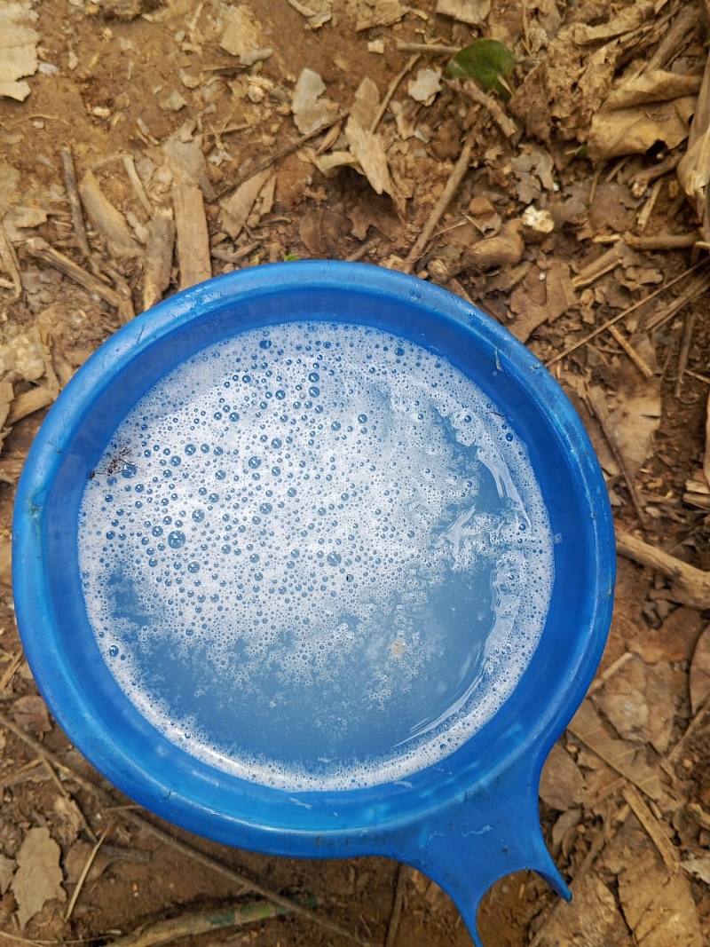 Palm wine tapping lucrative — Tapper