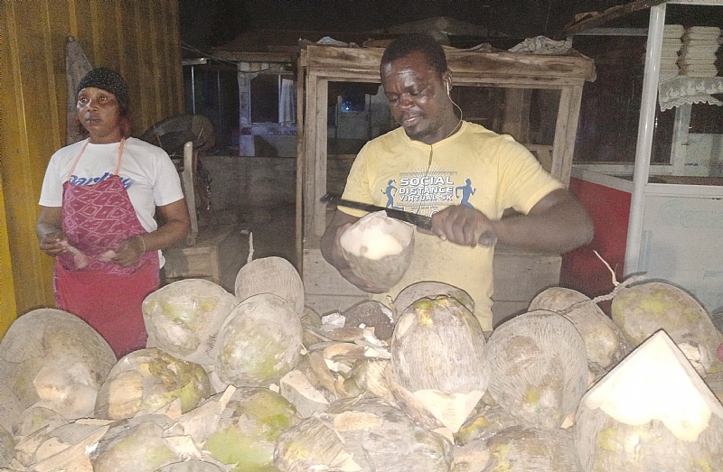 Invest in coconut sector for development – Farmers appeals