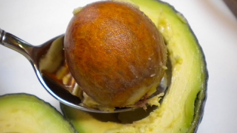 The Avocado Seeds: Benefits & Use