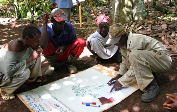 Afforestation On Cocoa Farms - Ghana’s Approach To Reduce Carbon Emissions