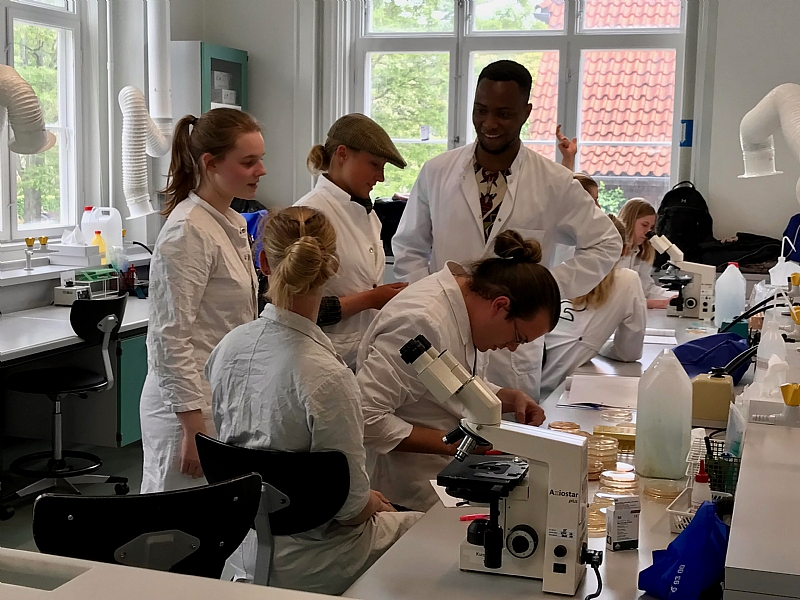 What African scholars think of studying in Denmark