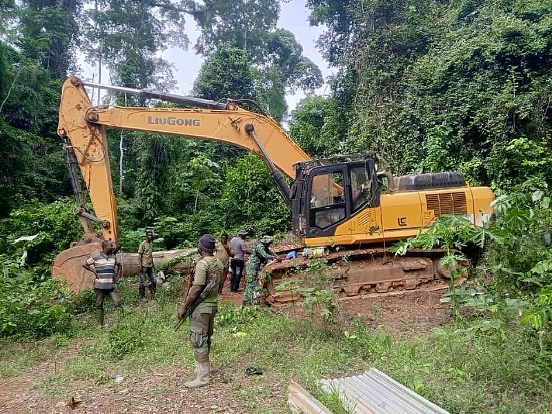 Enchi District Court orders Forestry Commission to release confiscated ...