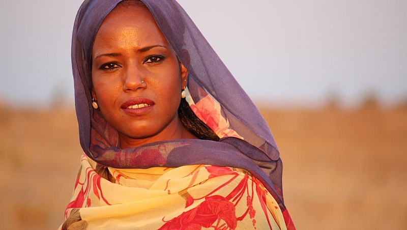 Paris Museum Cancels Concert By Western Sahara Singer