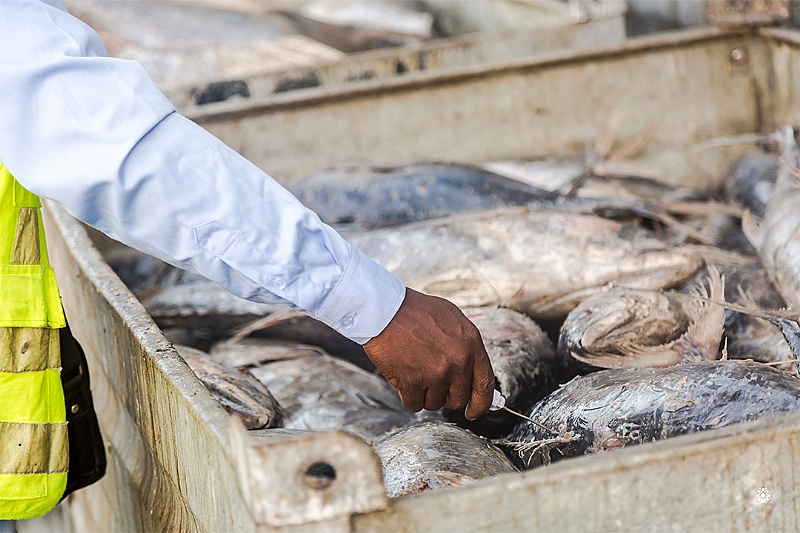 Kumasi: Asafo cold store operators lament over losses due to’ dumsor’