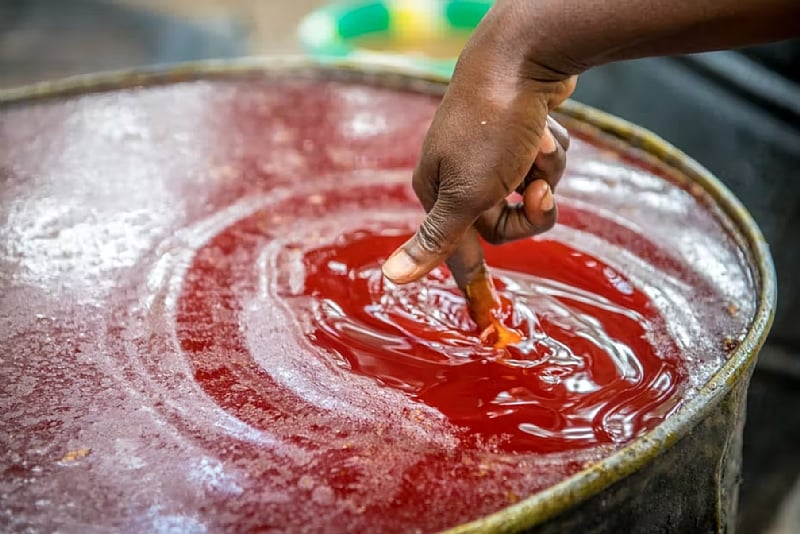 Red Gold: The Rise and Fall of West Africa's Palm Oil Empire