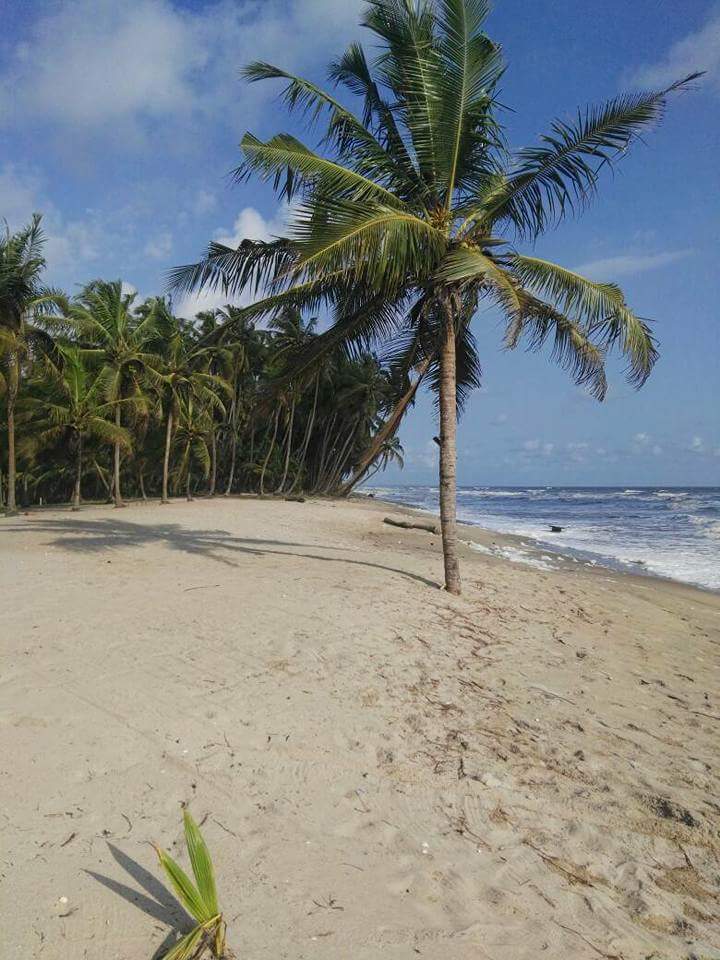 NZEMA: Beautiful Place, Beautiful People!