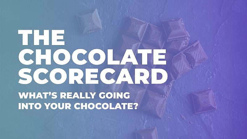 2022 Chocolate Scorecard: New survey reveals chocolate industry’s good ...