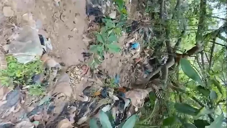 Kumasi : Newborn baby found abandoned in bush at Dechimso