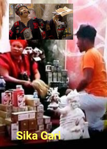 Sika Gari: If the mouse can chew a metal bed, then the hawk can prey on ...