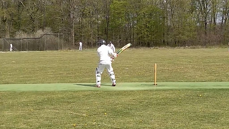 Galloping horses, a majestic castle: Let’s play cricket!