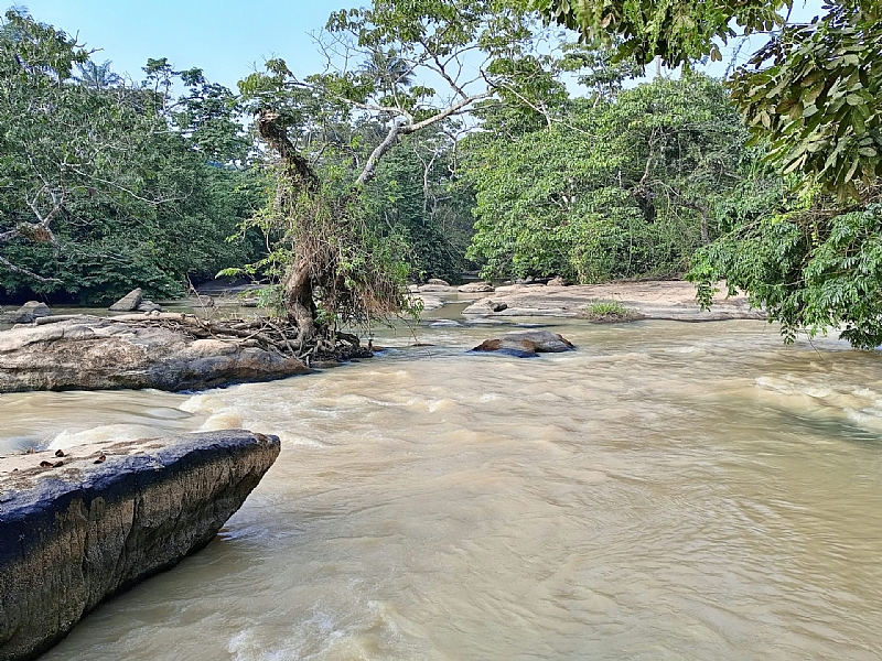 Microplastics in Nigeria’s Osun River: new study flags alarmingly high ...