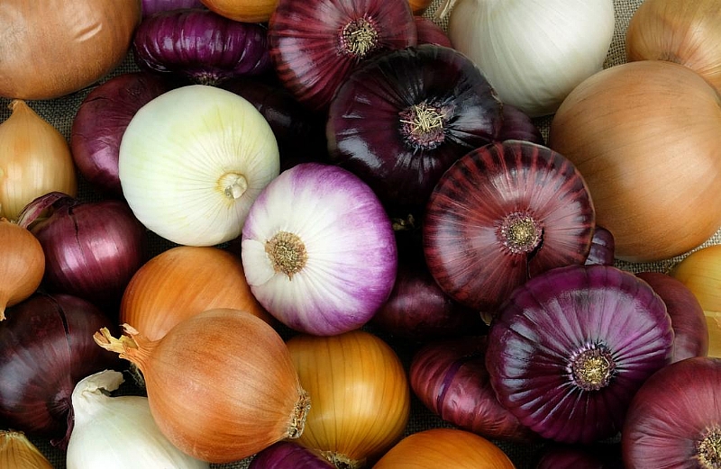 Conflict Over Onion Importation in Ghana