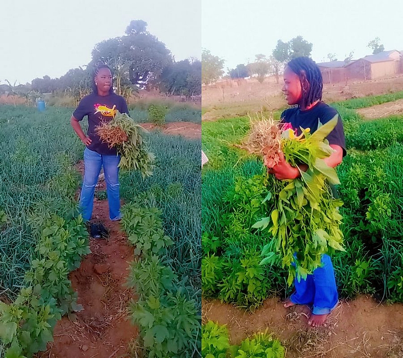Let's take advantage, opportunities the dry season farming offers ... Let's take advantage, opportunities the dry season farming offers ...