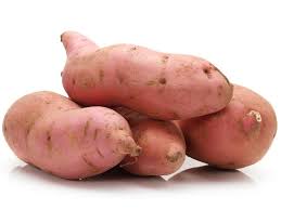 Sweet Potato Value Chain project viable in Ghana - International Potato ...