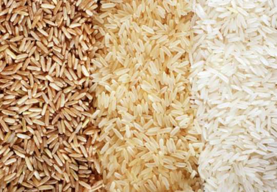 CRI Varieties Of Rice Should Be Considered PFJ Project