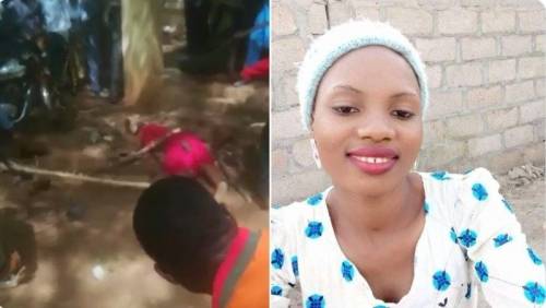 Deborah And The Who Born Dog Treatment