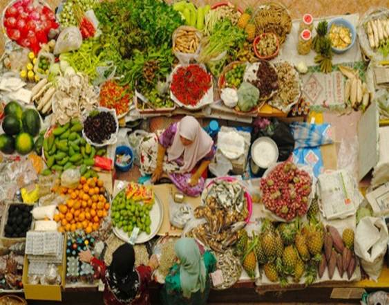 FAO Warns of Hidden Chemical Risks in Recycled Food Packaging