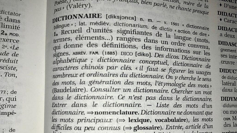 Crush, prompter, charo: new French dictionary adds 150 words