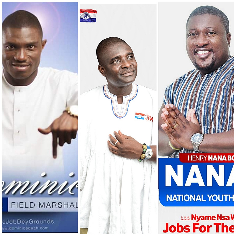 NPP National Youth Organizer Contest: Symbols, Slogans And Funfairs ...