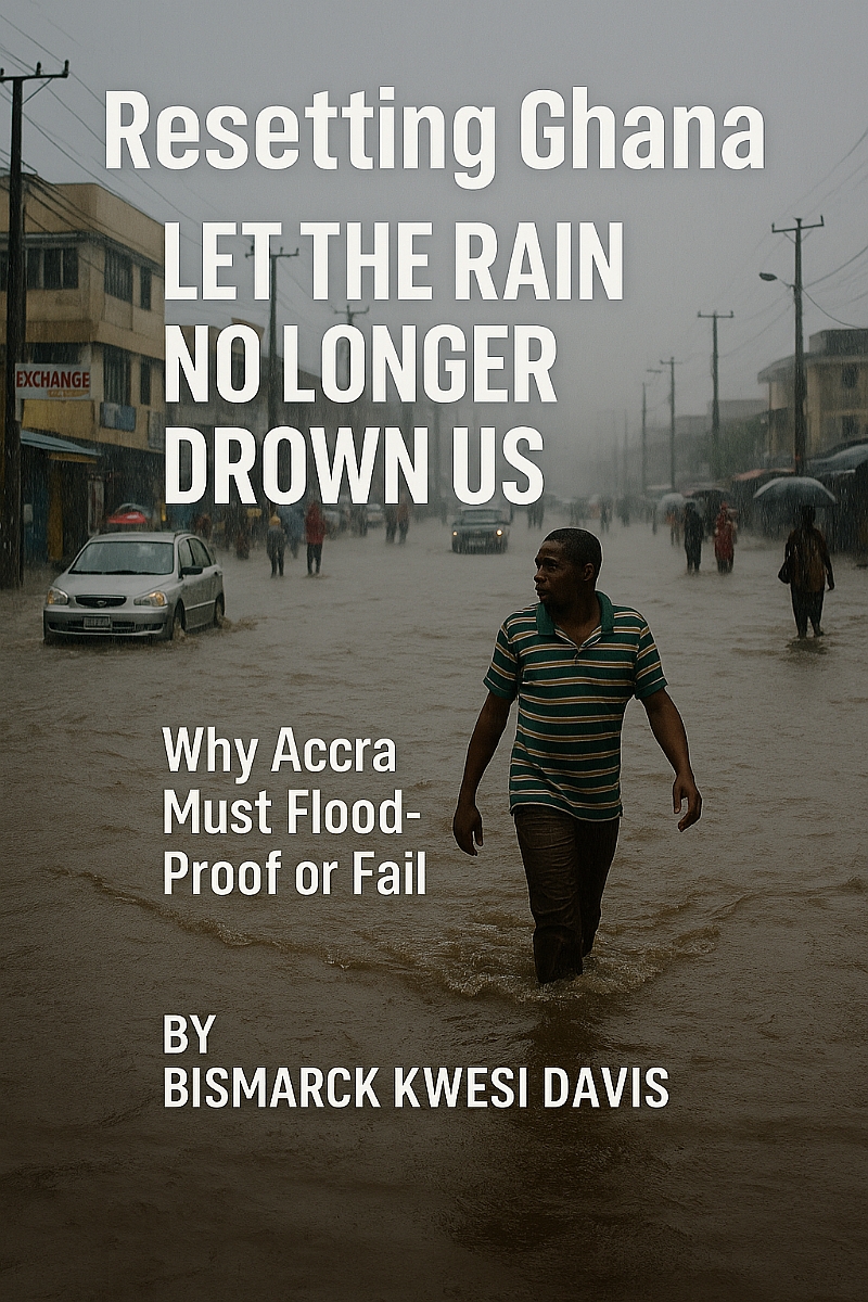 A Strategic Environmental Narrative on Flood-Resilient Cities ...