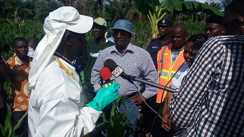 Agric Minister Tours Army Worm Infested Areas.....As Farmers Express ...