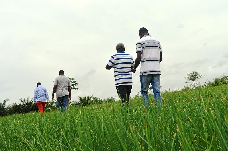 W/Region Minister recommends B-BOVID’s agric model for gov’t support