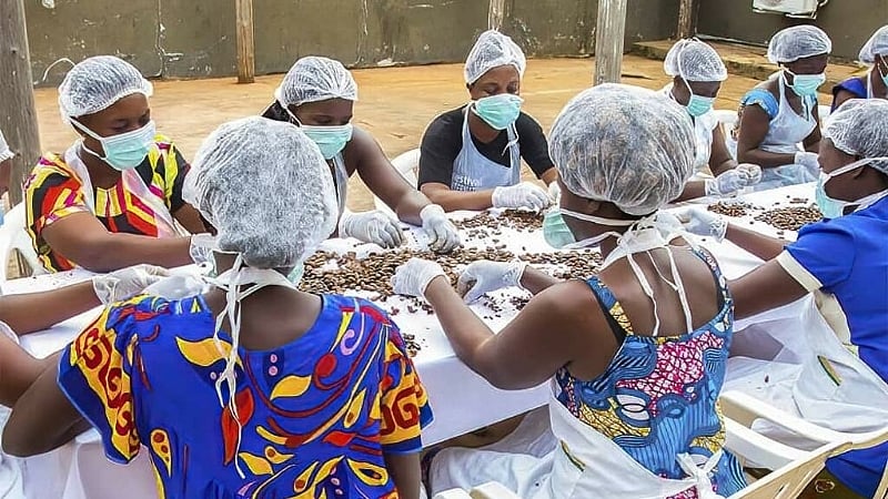 ‘Made in Cote d’Ivoire’ chocolatier puts women at centre of his cocoa ...