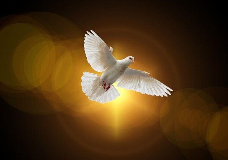 Remembering Pentecost: Born Again. What Does It Mean? And Why Are You a ...