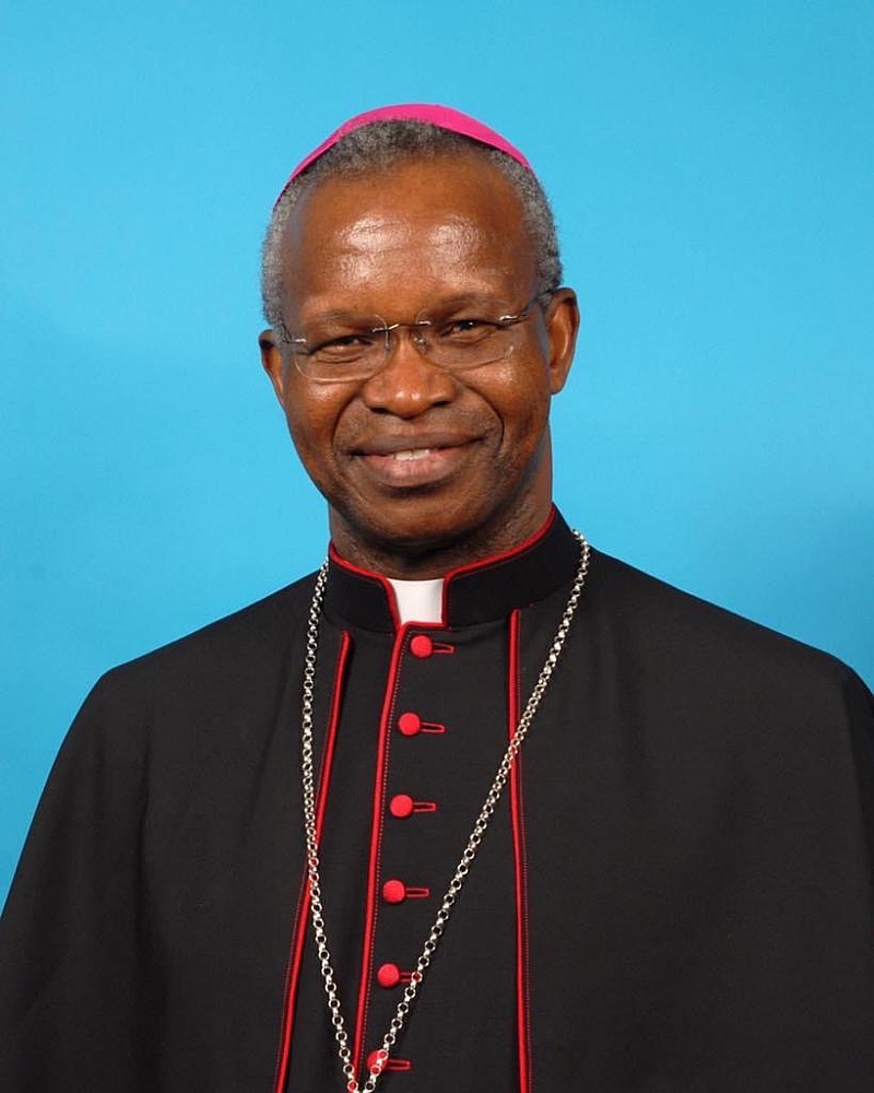 Pope Francis names new Cardinal from Ghana