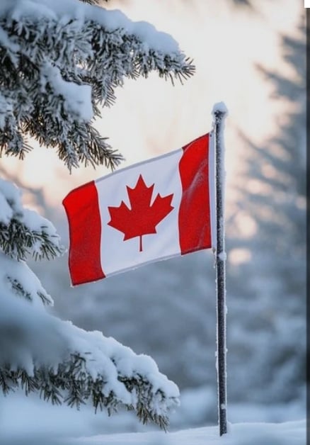 Canada, USMCA Uncertainty and Rising Economic Pressure: A Quiet Trade ...