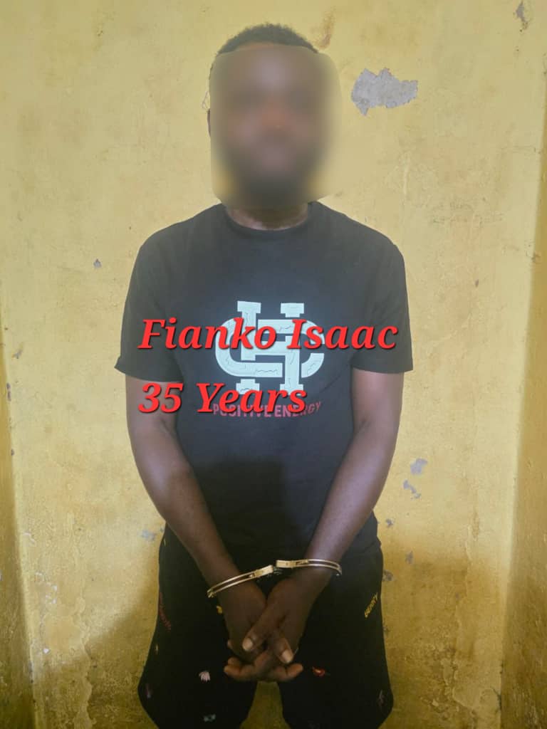 IGP’s Cyber Team Cracks Car Theft Ring; Seven Arrested, Three Stolen ...