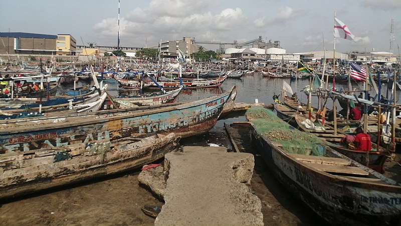 Tema Traditional Council gears up for healthy environment