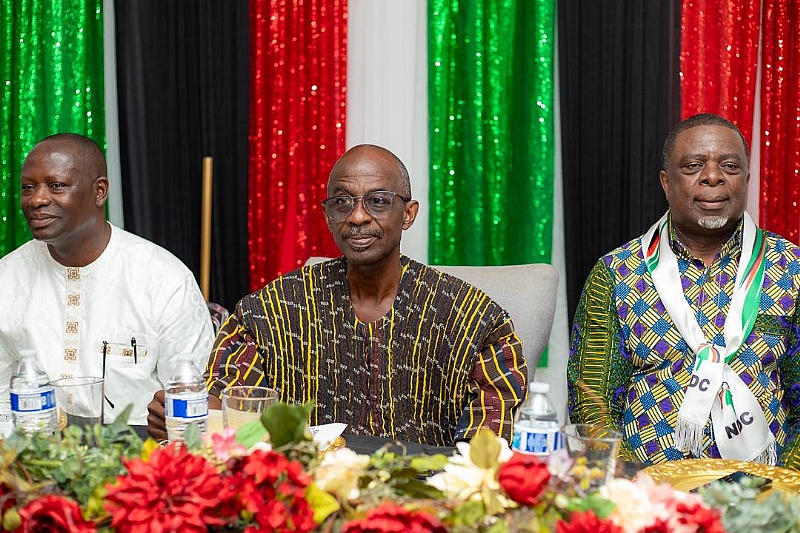 Election 2024: NDC Atlanta raise funds to support campaign