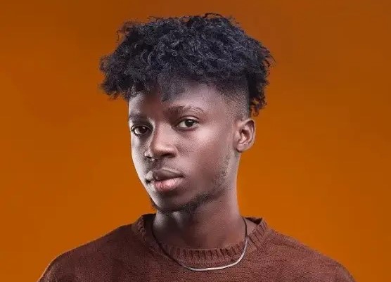 TGMA 26: Yaw Darling wins Unsung Artiste of the Year