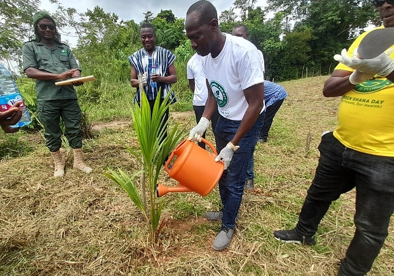 Green Ghana Day: Akrofuom District Assembly collaborates with AGA to ...