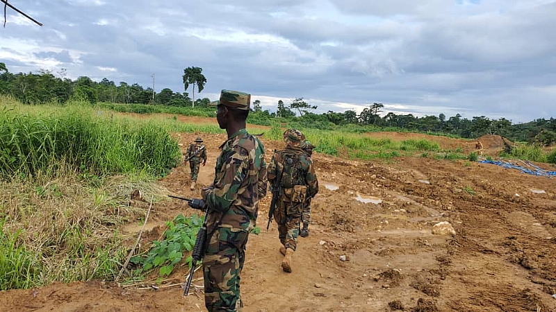 Operation Halt II storms Bosomtwe forest reserve; seizes five ...
