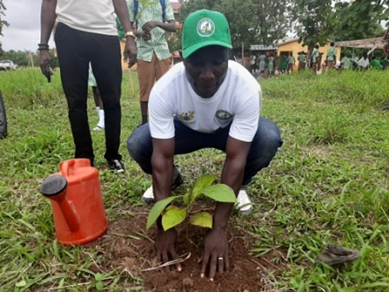 Tano South Municipality observes Green Ghana Day
