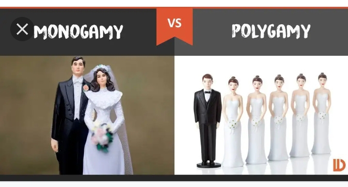 Polygamy is Natural Order While Monogamy Is a Social Imposition
