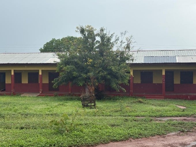 Bat invasion blocks Kamalo D/A JHS from using new classroom block