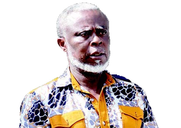 Alajo coup plot: I introduced Esther to Dr Mac-Palm on health grounds ...