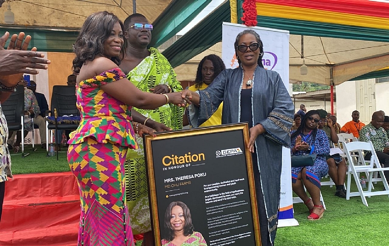 Women Icons: GEPA honours Theresa Poku for creating jobs through ...