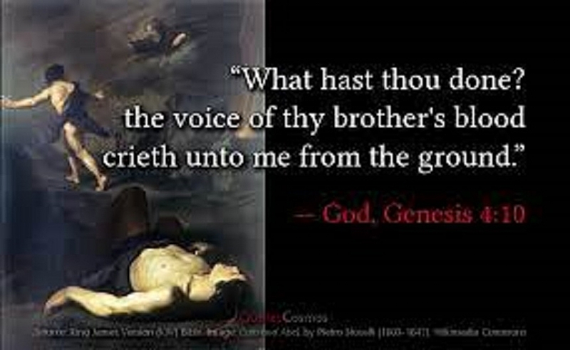 What hast thou done?