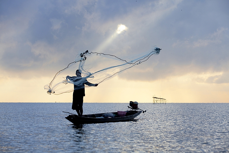 How Marine Fisheries Can Add Millions Of Tonnes To Africa s Catch