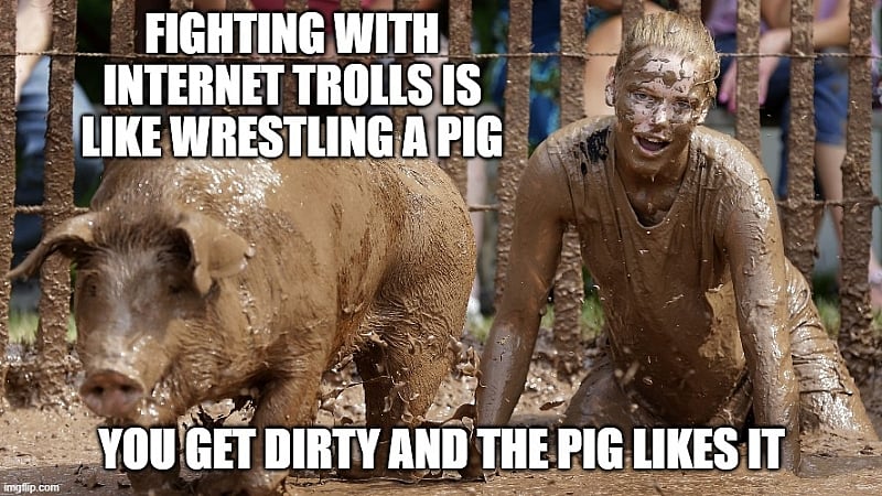 Expediency Of Unfollowing Or Blocking Internet Trolls As Not Doing So ...