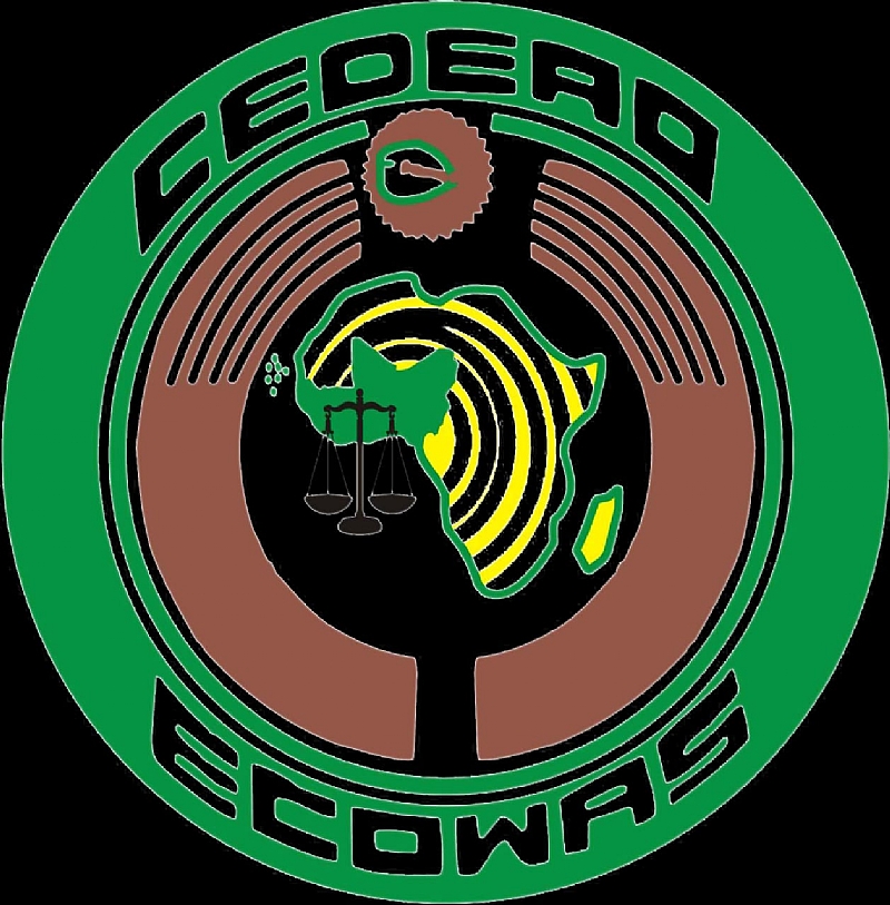 ECOWAS Court slaps 50 million CFA compensation on Burkina Faso for ...