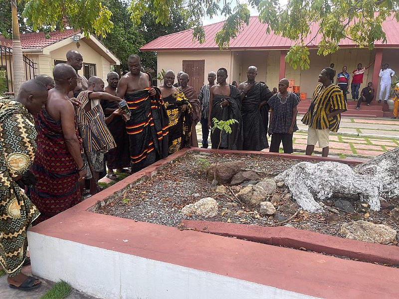 Akyem-Abuakwa traditional Council initiate processes to destool Chief ...