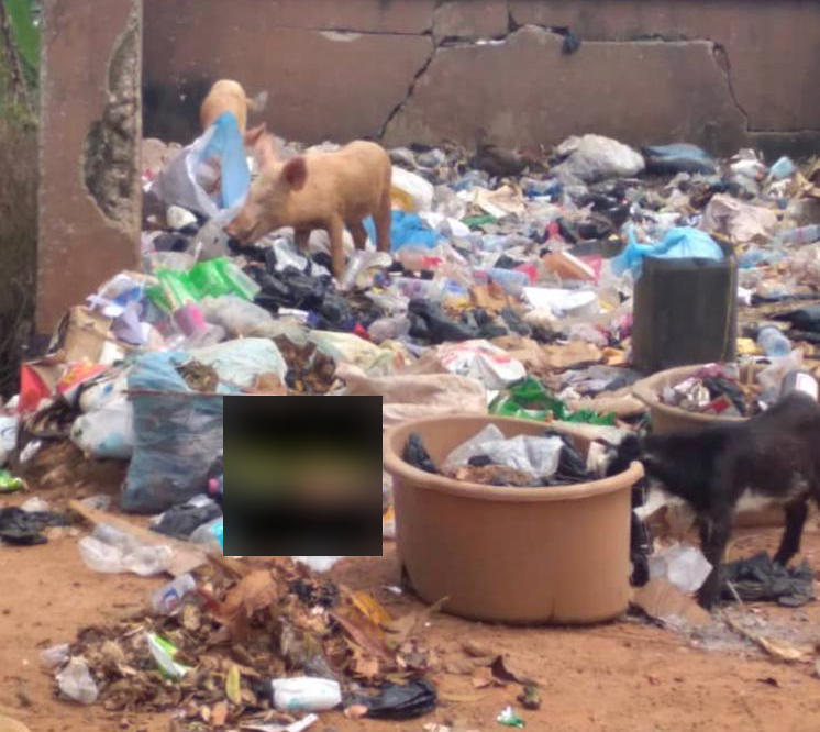 E/R: Begoro main road turns refuse dump